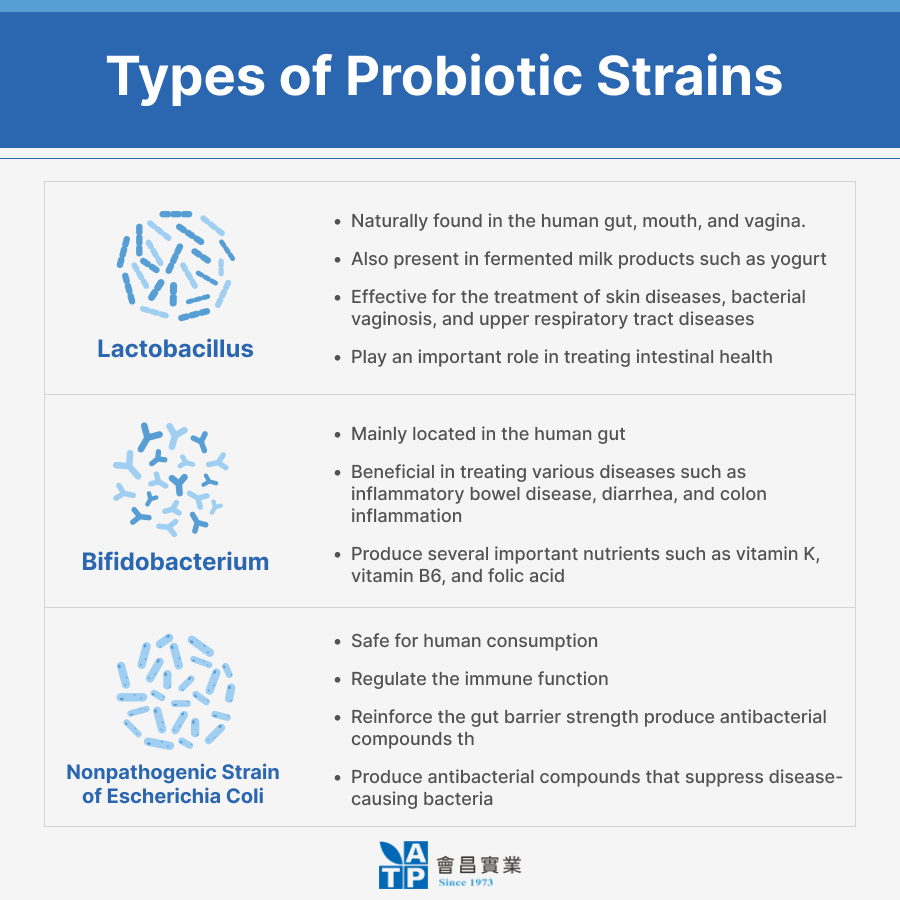 Probiotic Manufacturers: The Process & Probiotic Types